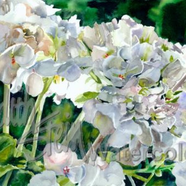 Geranium Painting - Etsy