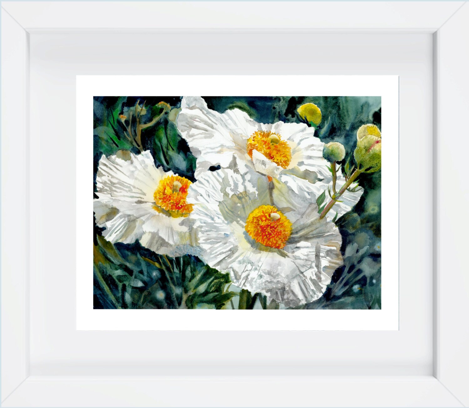 Matiliya Hop Poppies, White Flowers, Original Watercolor Painting ...