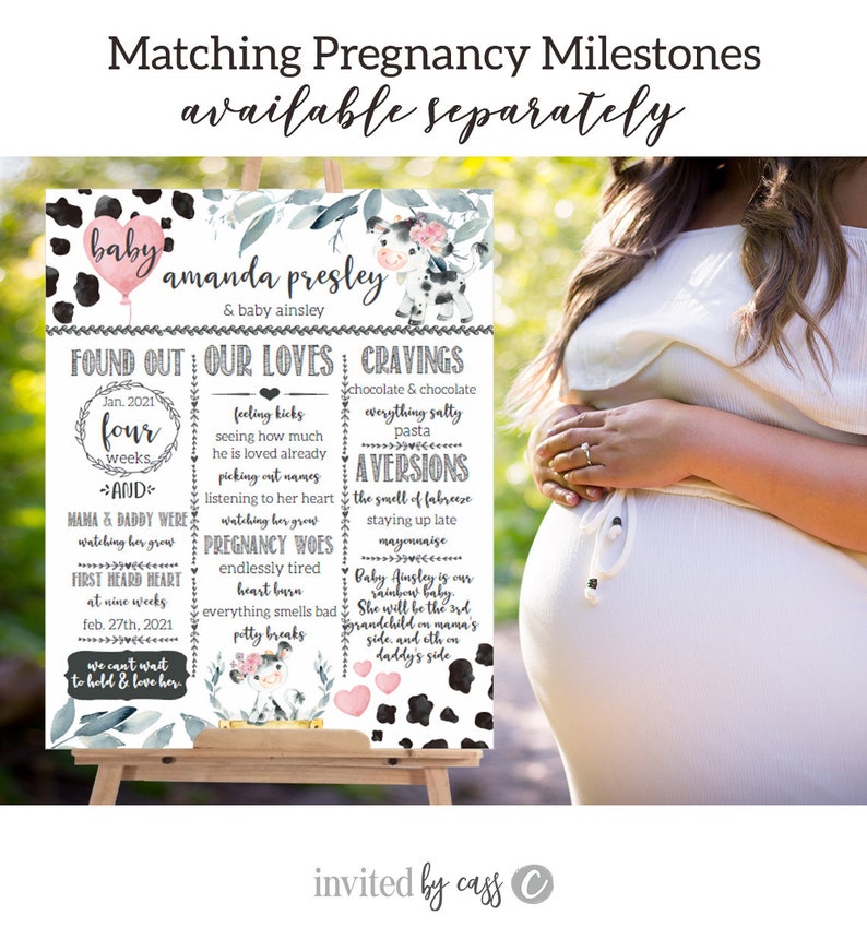 Editable Holy Cow We're Having a Baby Decor Signs Bundle - Etsy