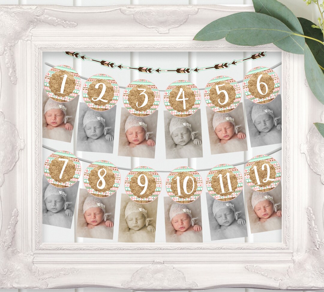 First Year Photo Banner L Wild One L 1 - 12 Months L Baby's First ...
