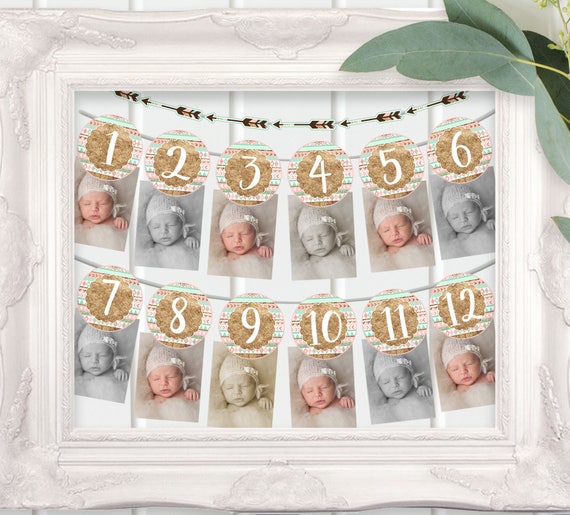 First Year Photo Banner l Wild One l 1 - 12 months l Baby's First ...