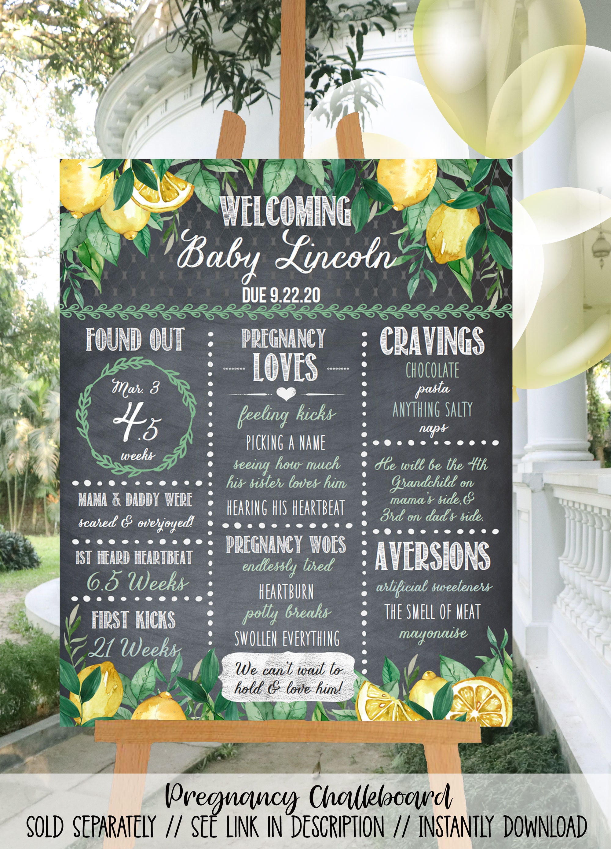 Drive Through Baby Shower- Quarantine Lemon Drive by Party Invitation ...