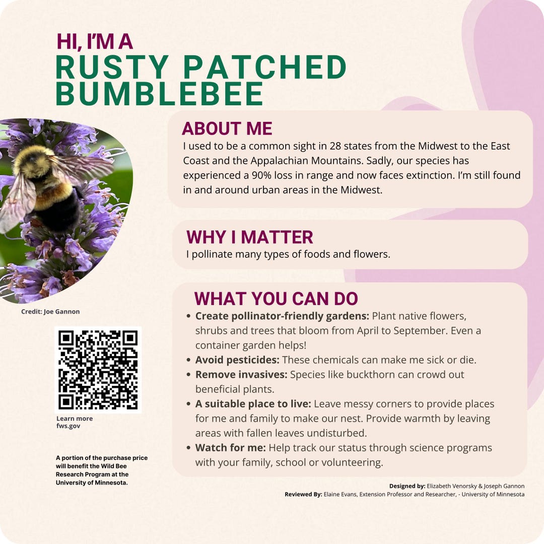 Rusty Patched Bumblebee Educational Sign – Park, School & Community ...