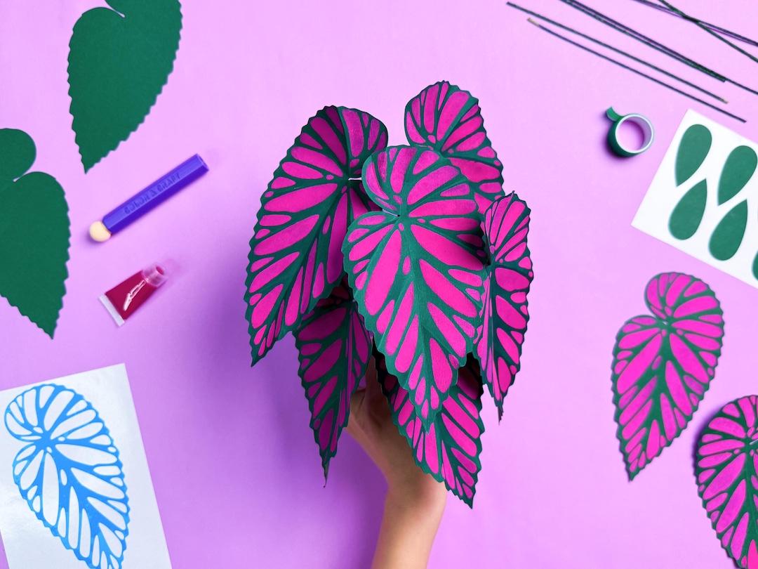 DIY Paper Plant Kit: Begonia Brevirimosa, With Video Tutorial - Etsy
