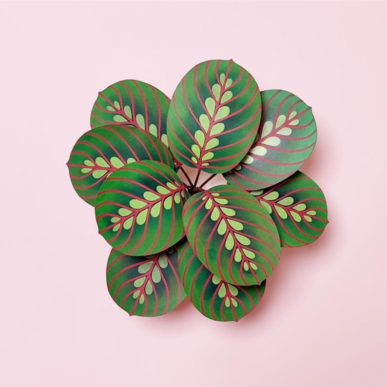 Pianta di carta Maranta Calathea, arte murale 3D - Etsy Italia