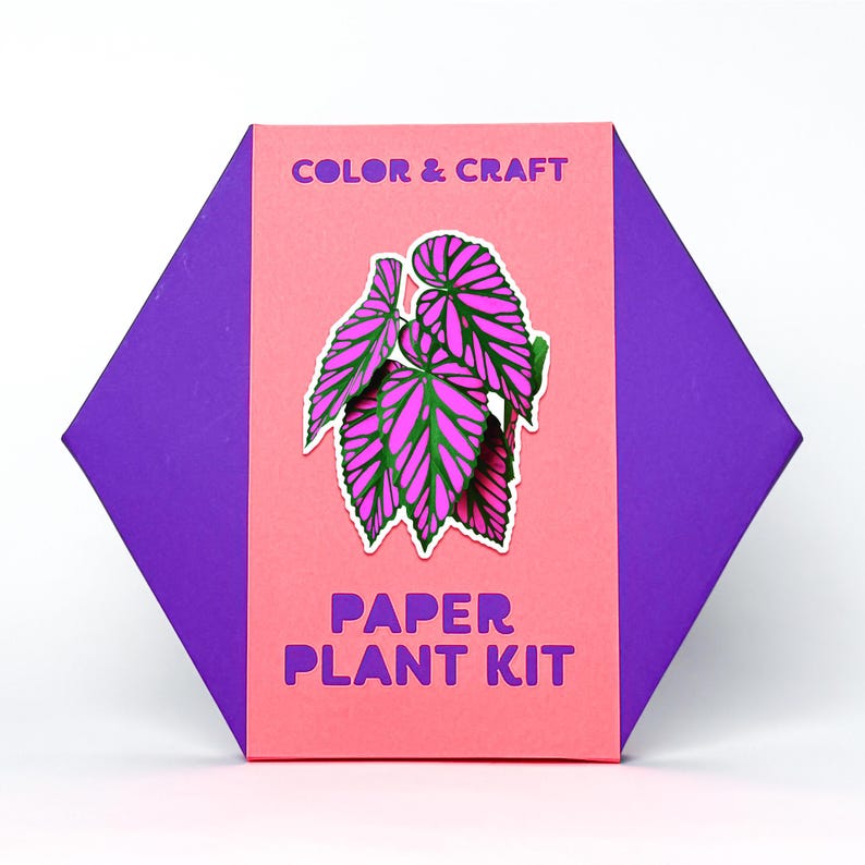 DIY Paper Plant Kit: Begonia Brevirimosa, With Video Tutorial - Etsy