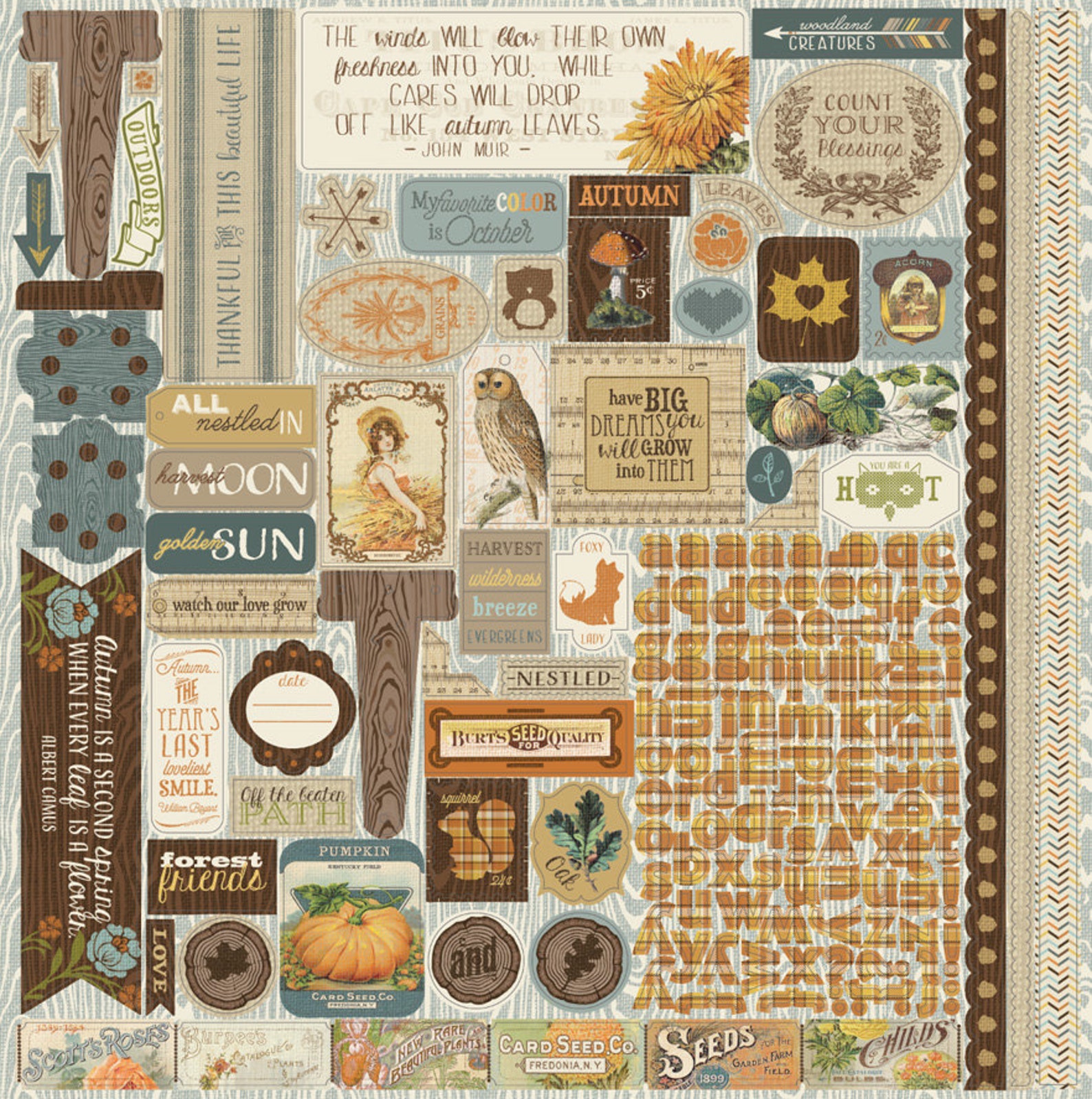 Authentique Paper Collection nestled 12x12 Sticker | Etsy