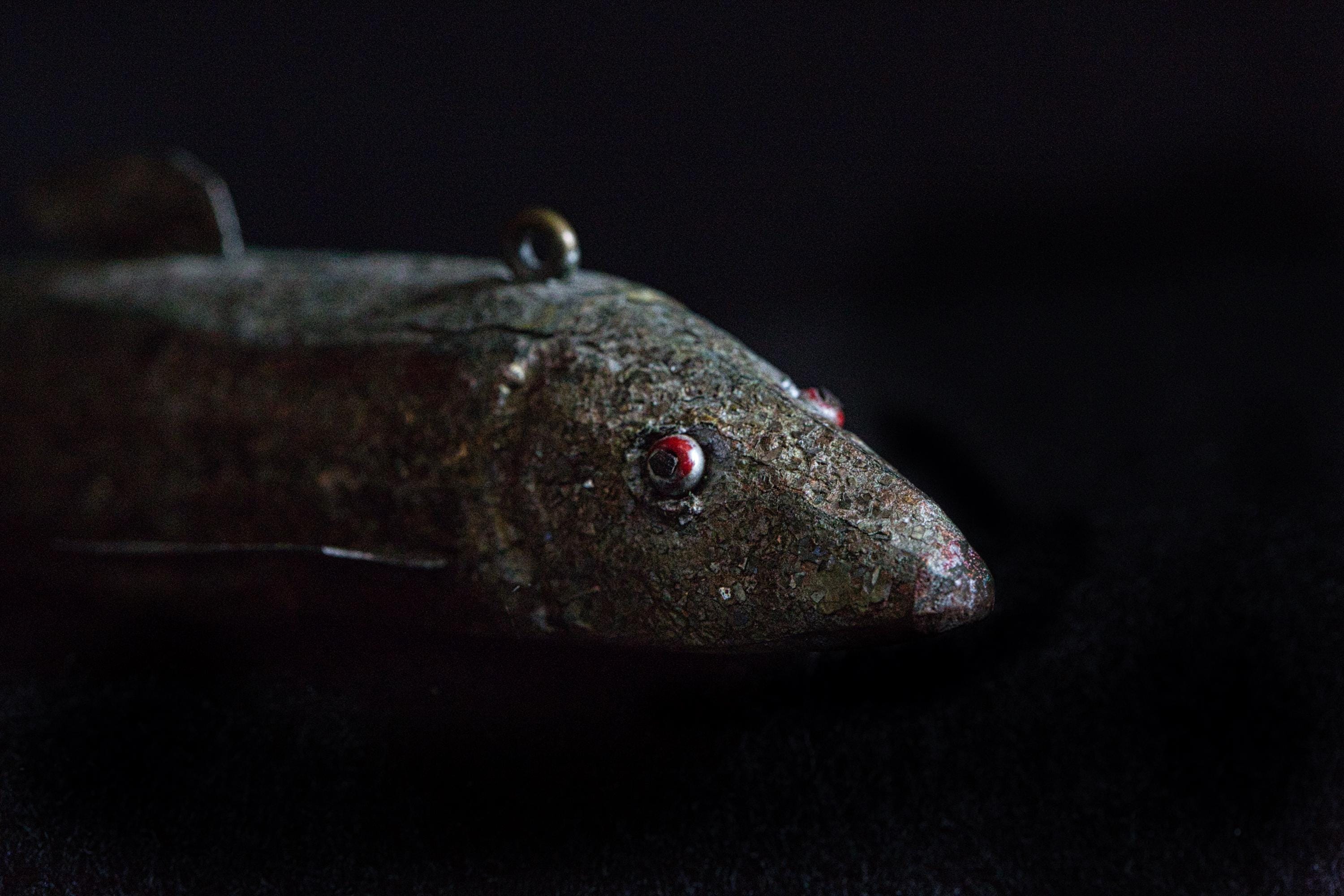 From Grandpa's Old Tackle Box: A Shinny Metal Fin Fish Decoy With Weird ...