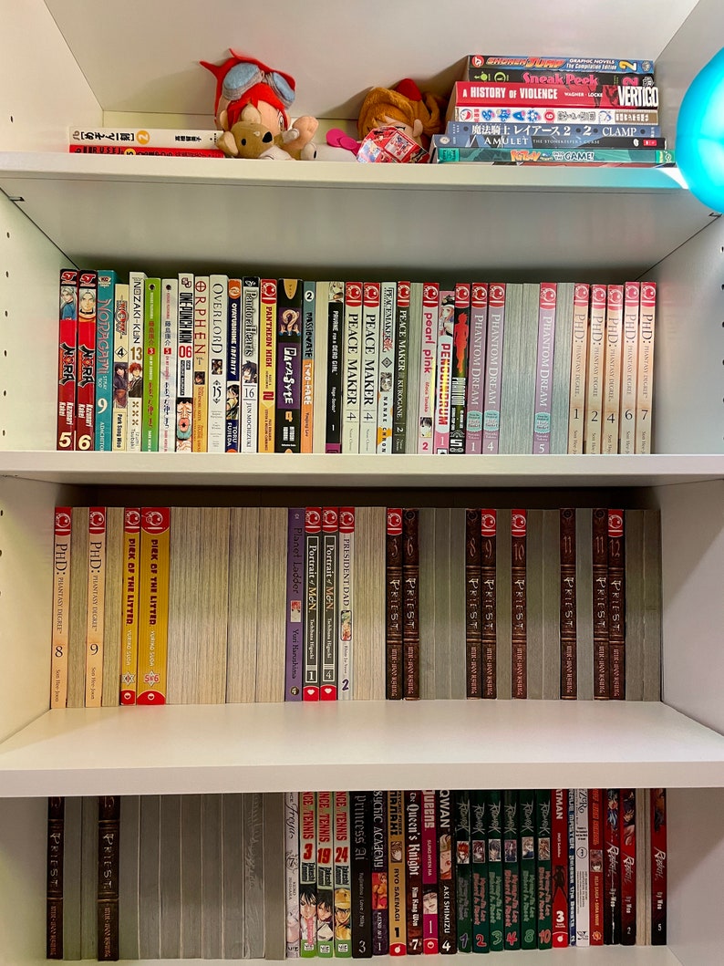 Used English Manga Mystery Box Great Gift Shonen Shojo - Etsy