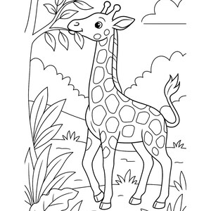 Jungle Animals Coloring Book – Wild Adventures Await! (printable ...
