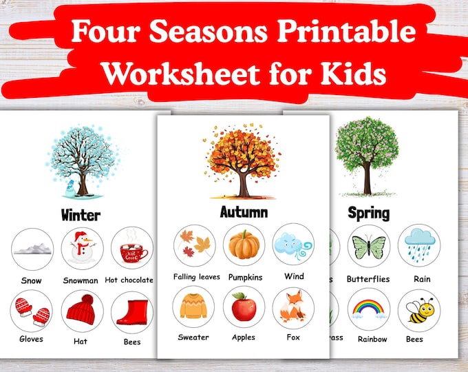 Four Seasons Printable Worksheet for Kids | Learn Seasons Activity ...