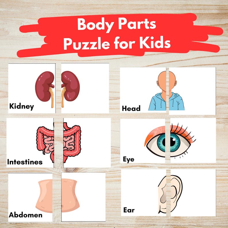 Kids Body Parts Learning Bundle | Flashcards + Puzzle Game | Human Body ...