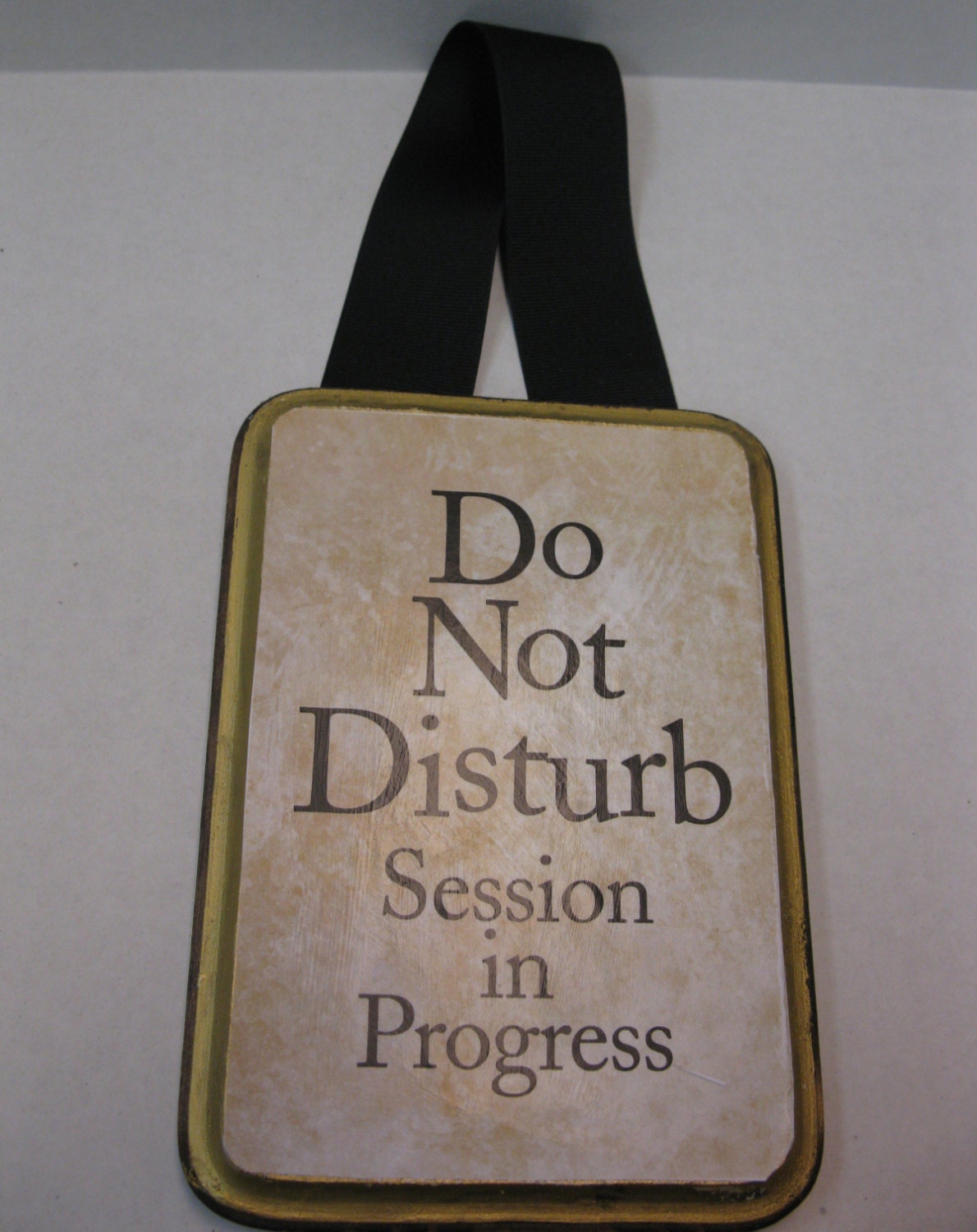 Do Not Disturb- Session in Progress- Digital Print on Wood Plaque - Etsy