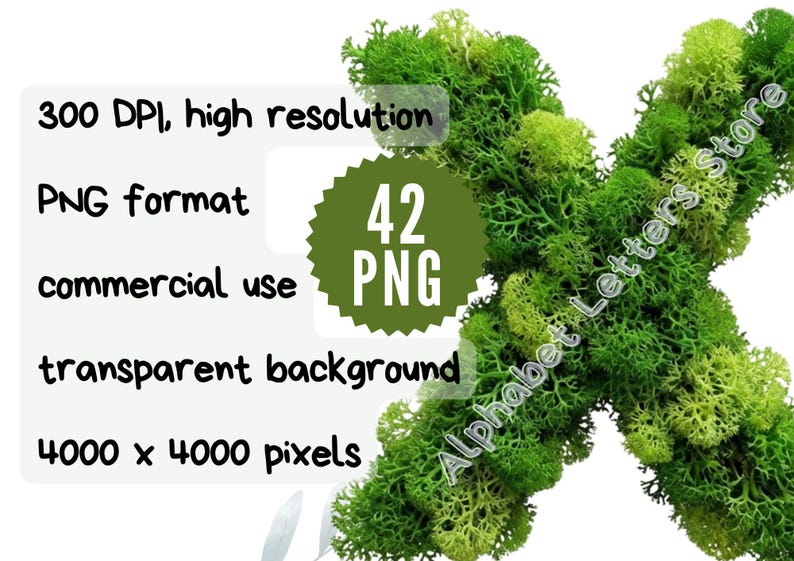 Moss Alphabet PNG, Greenery Letters and Numbers for Wedding Invitations ...