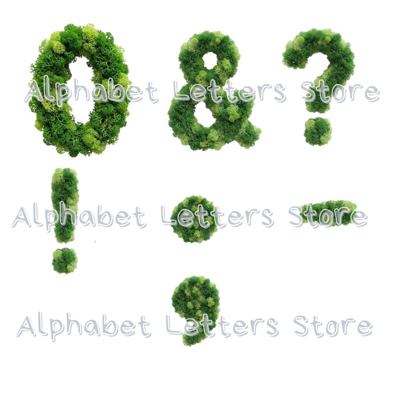 Moss Alphabet PNG, Greenery Letters and Numbers for Wedding Invitations ...