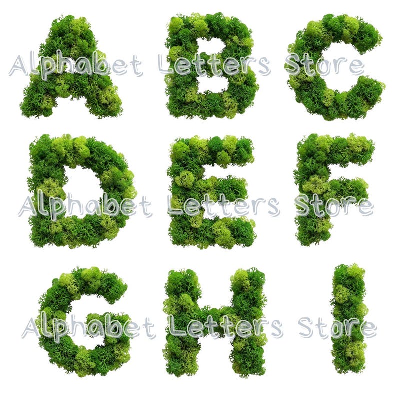 Moss Alphabet PNG, Greenery Letters and Numbers for Wedding Invitations ...