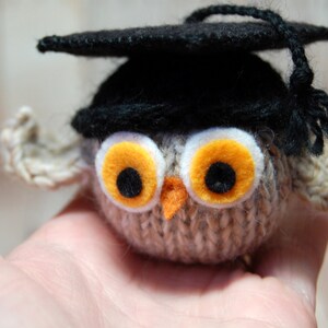 Graduation Owl Knit Owl with Graduation Cap Graduation | Etsy