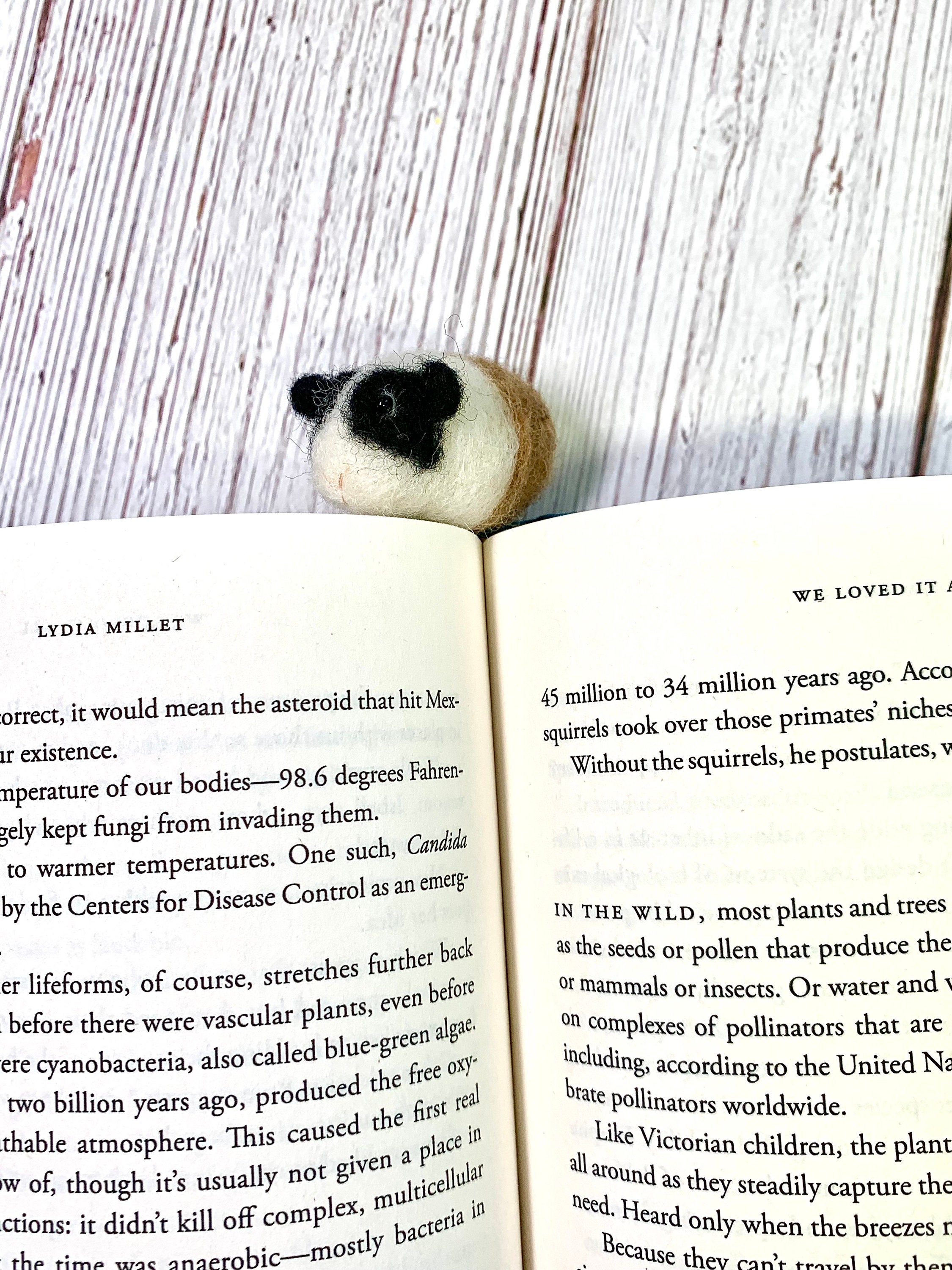 Guinea Pig Bookmark, Gift for Book Lover - Etsy