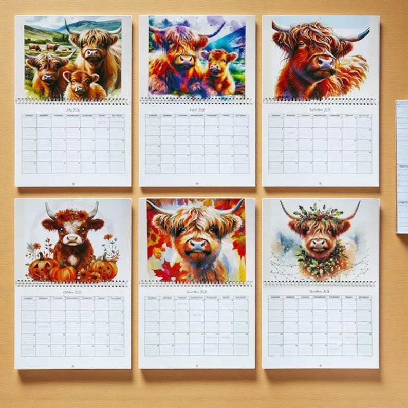 2026 Highland Cow Calendar: Fluffy Scottish Cattle Wall Planner - Etsy