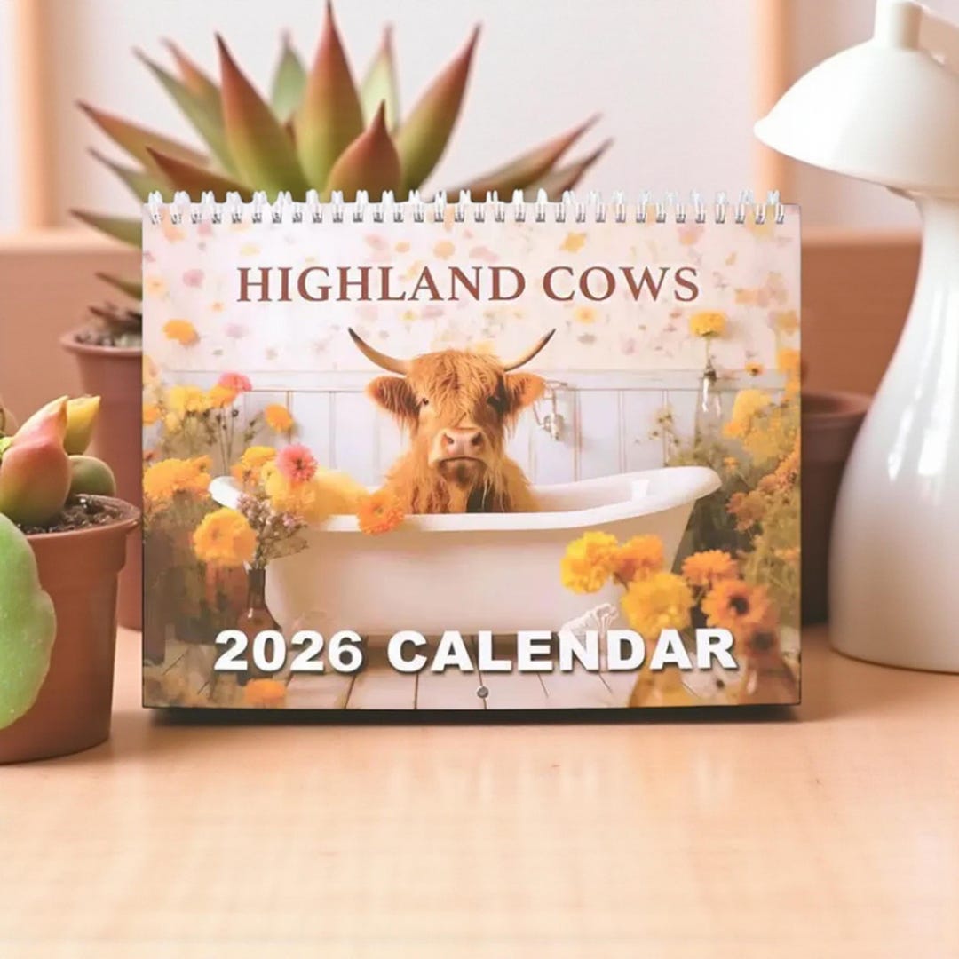 2026 Highland Cow Calendar: Fluffy Scottish Cattle Wall Planner - Etsy