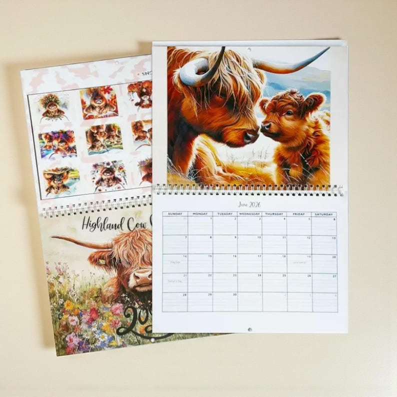 2026 Highland Cow Calendar: Fluffy Scottish Cattle Wall Planner - Etsy