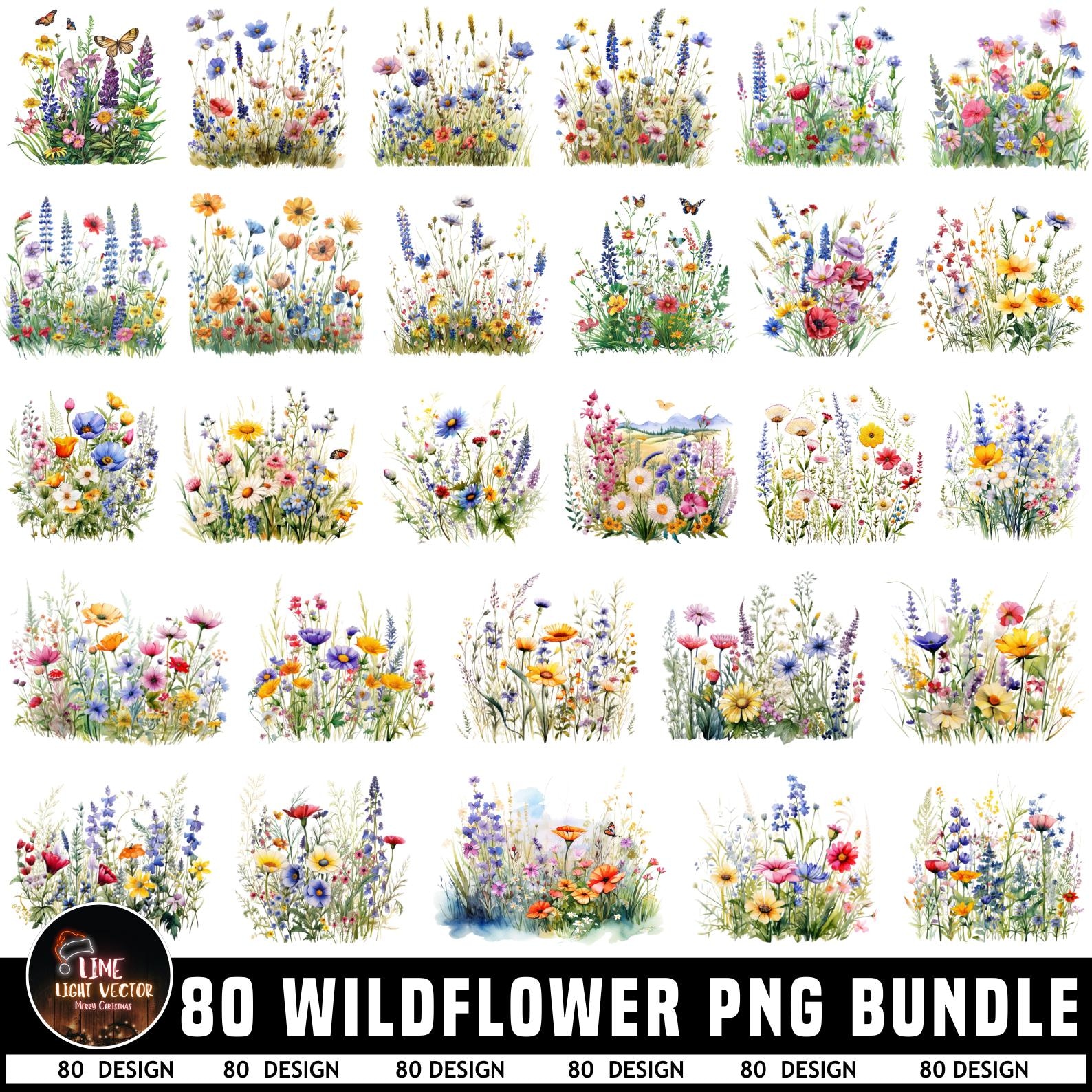 Wildflower Png Bundle, Wildflower Clipart, Boho Wildflowers Png ...