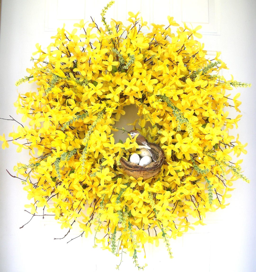 Forsythia Spring Wispy Wreath, Wild Birch Yellow Twig Wreath, Front ...