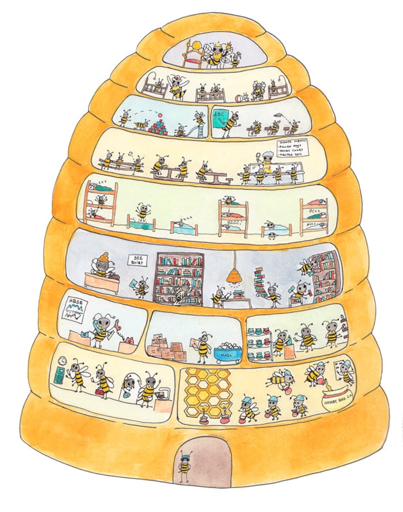 Beehive Cross Section Print - Etsy