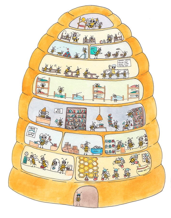 Bee Hive Cross Section Print 8.5 X 11 - Etsy UK