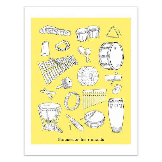 Percussion Instrument Family