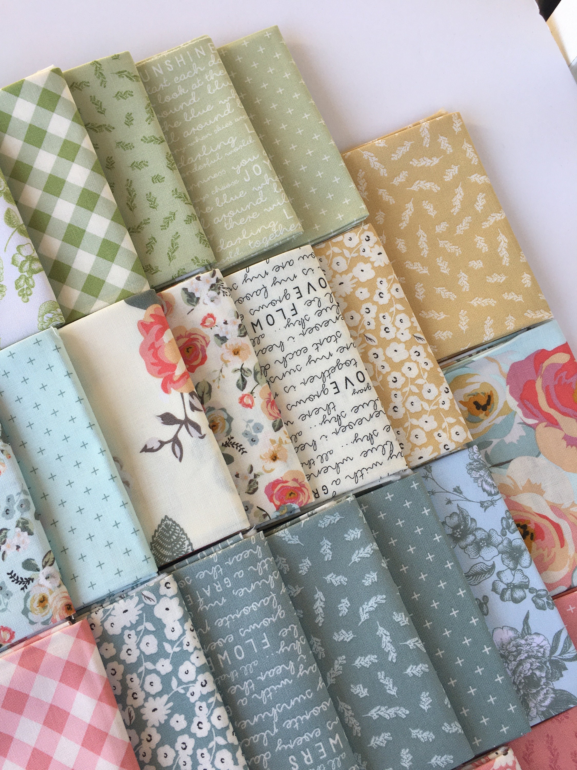 Gingham Gardens by My Mind's Eye for Riley Blake Cotton | Etsy