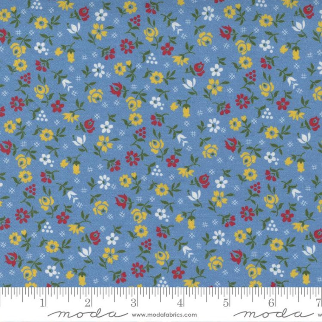 American Jane Moda Picture Perfect Light Blue Tic Tac Rose Mini Floral ...