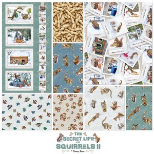 The Secret Life of Squirrels 11 Clothworks Fat Quarter Bundle of 7 Plus ...