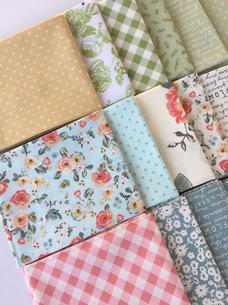 Gingham Gardens by My Mind's Eye for Riley Blake Cotton | Etsy