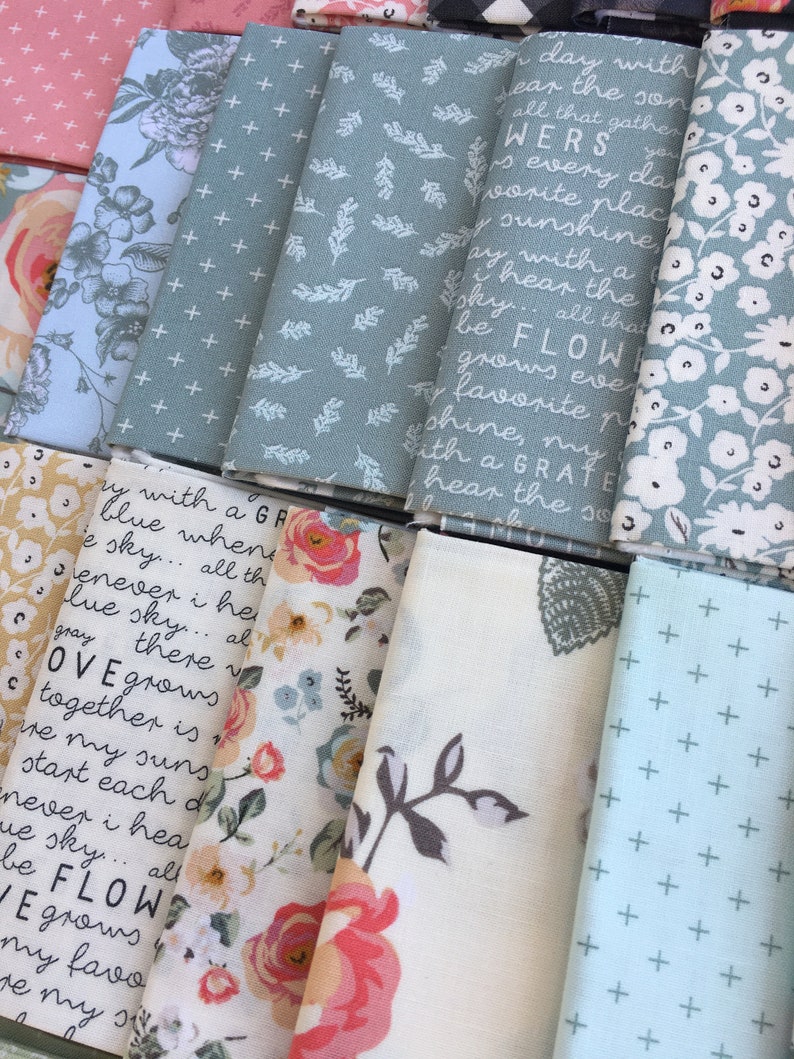 Gingham Gardens by My Mind's Eye for Riley Blake Cotton | Etsy