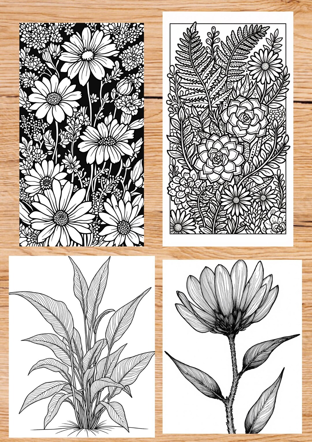 10 Plant Colouring Pages - Adult and Kids Colouring Book, Nature ...