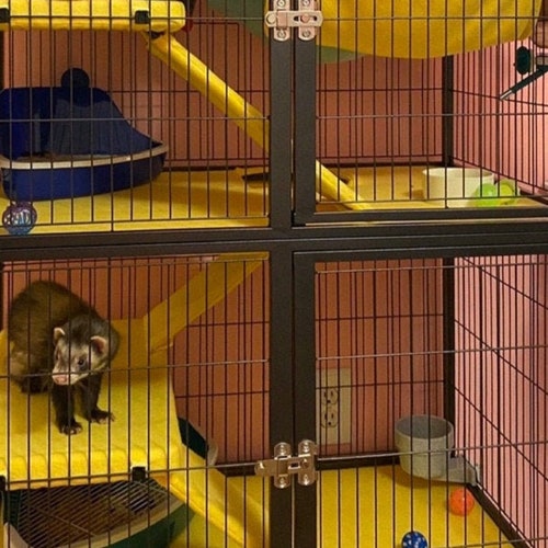 Fleece Liners for Prevue 485A/B Feisty Ferret Cage - Etsy