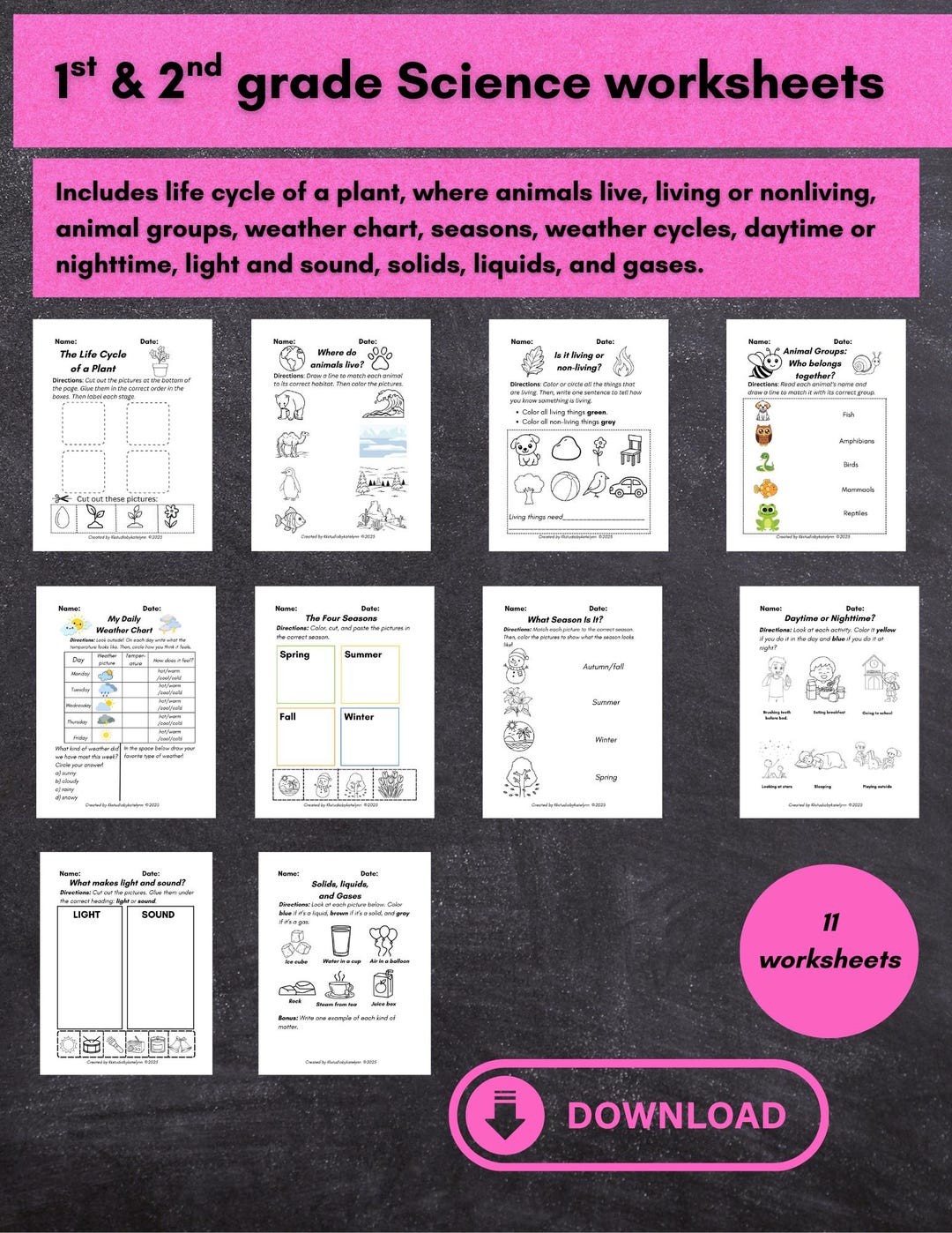 1st & 2nd Grade Life Science Worksheets | Living Things, Plants and ...