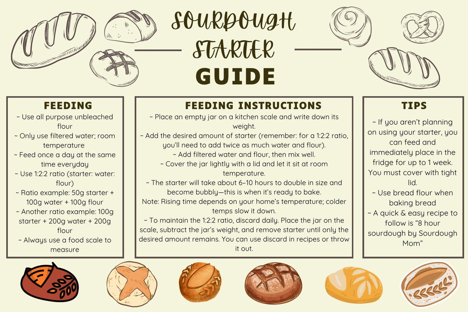 Editable Sourdough Starter Instructions Sourdough Starter Feeding