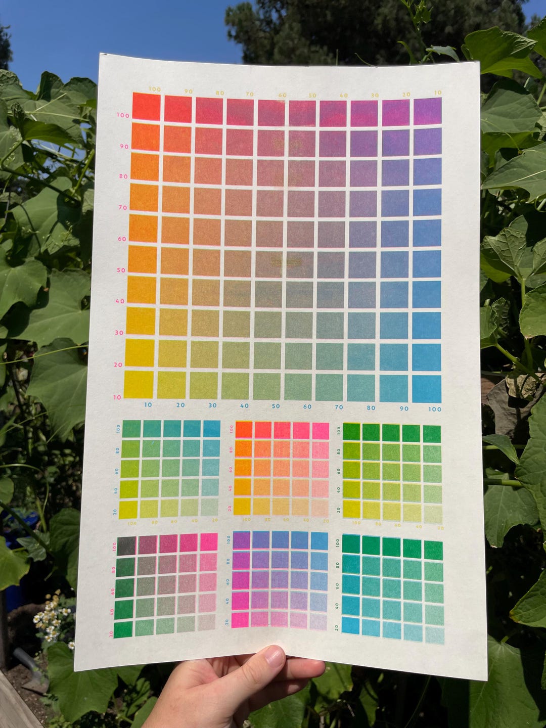 Riso Color Chart - Etsy