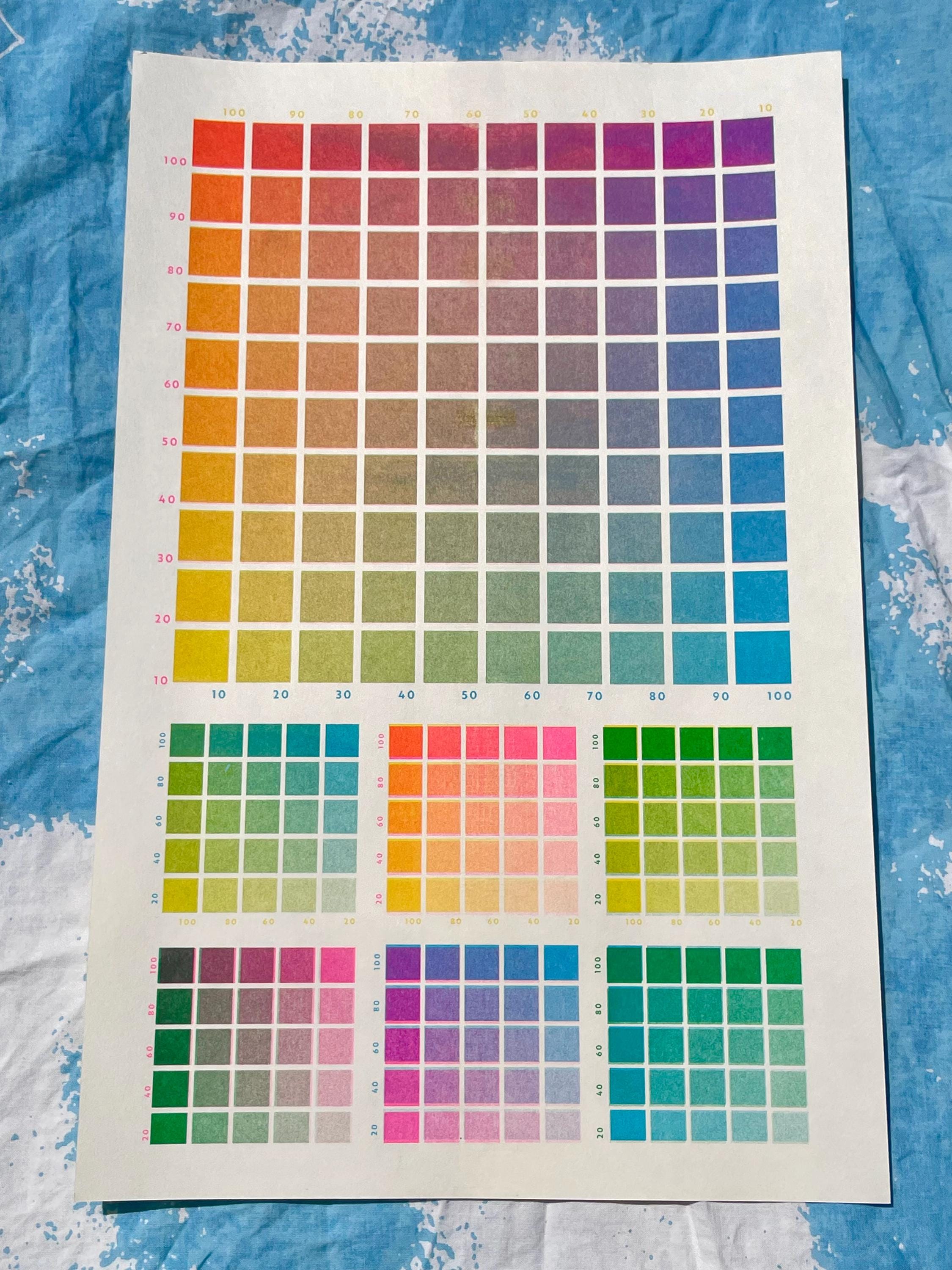 Riso Color Chart - Etsy