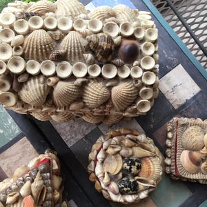 Collection Seven Souvenir Shell Boxes Fabulous - Etsy