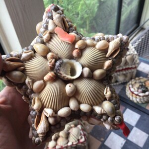 Collection Seven Souvenir Shell Boxes Fabulous - Etsy