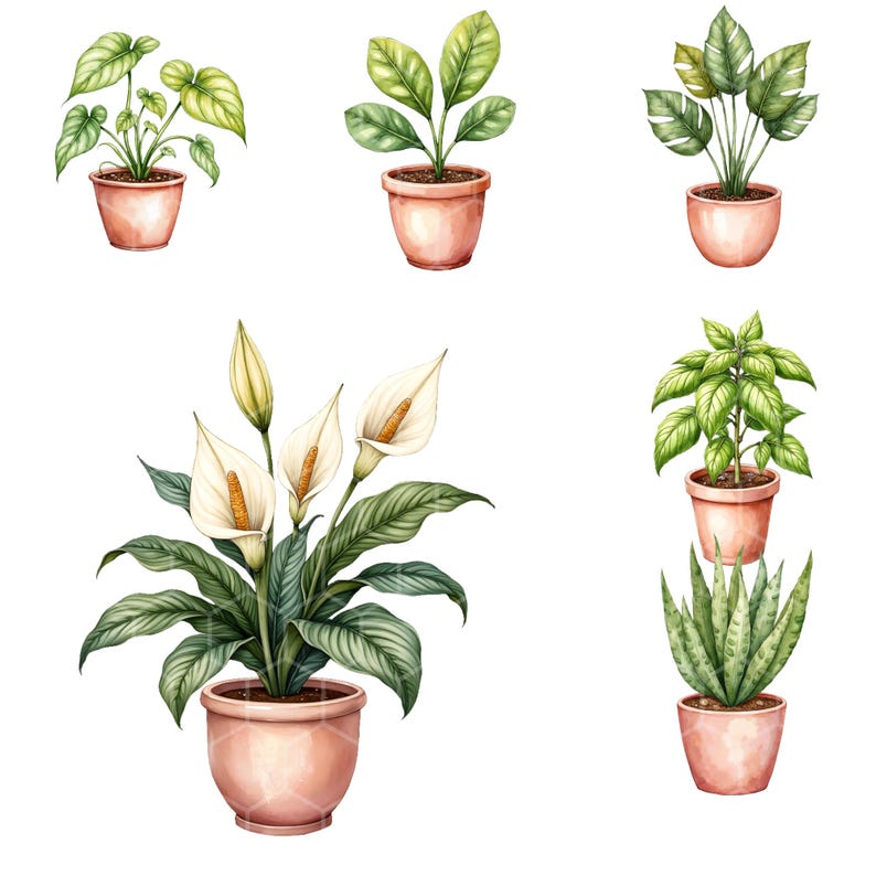 Watercolor Potted Plants Clipart Bundle | Boho Botanical Illustrations ...