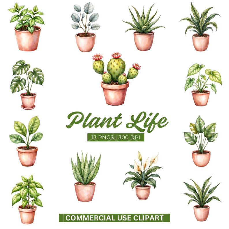 Watercolor Potted Plants Clipart Bundle | Boho Botanical Illustrations ...