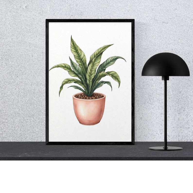 Watercolor Potted Plants Clipart Bundle | Boho Botanical Illustrations ...