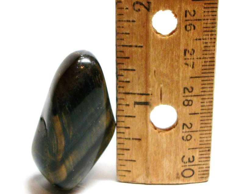 Rare Cats Eye Green Yellow Black Cabochon Chatoyancy | Etsy