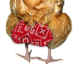 Chicken bandana | Etsy