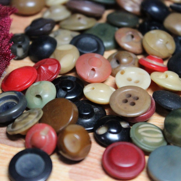 Vegetable Ivory - Etsy