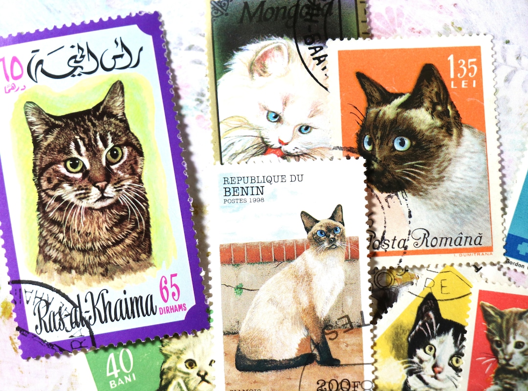 5 Vintage Cat Postage Stamps - Etsy